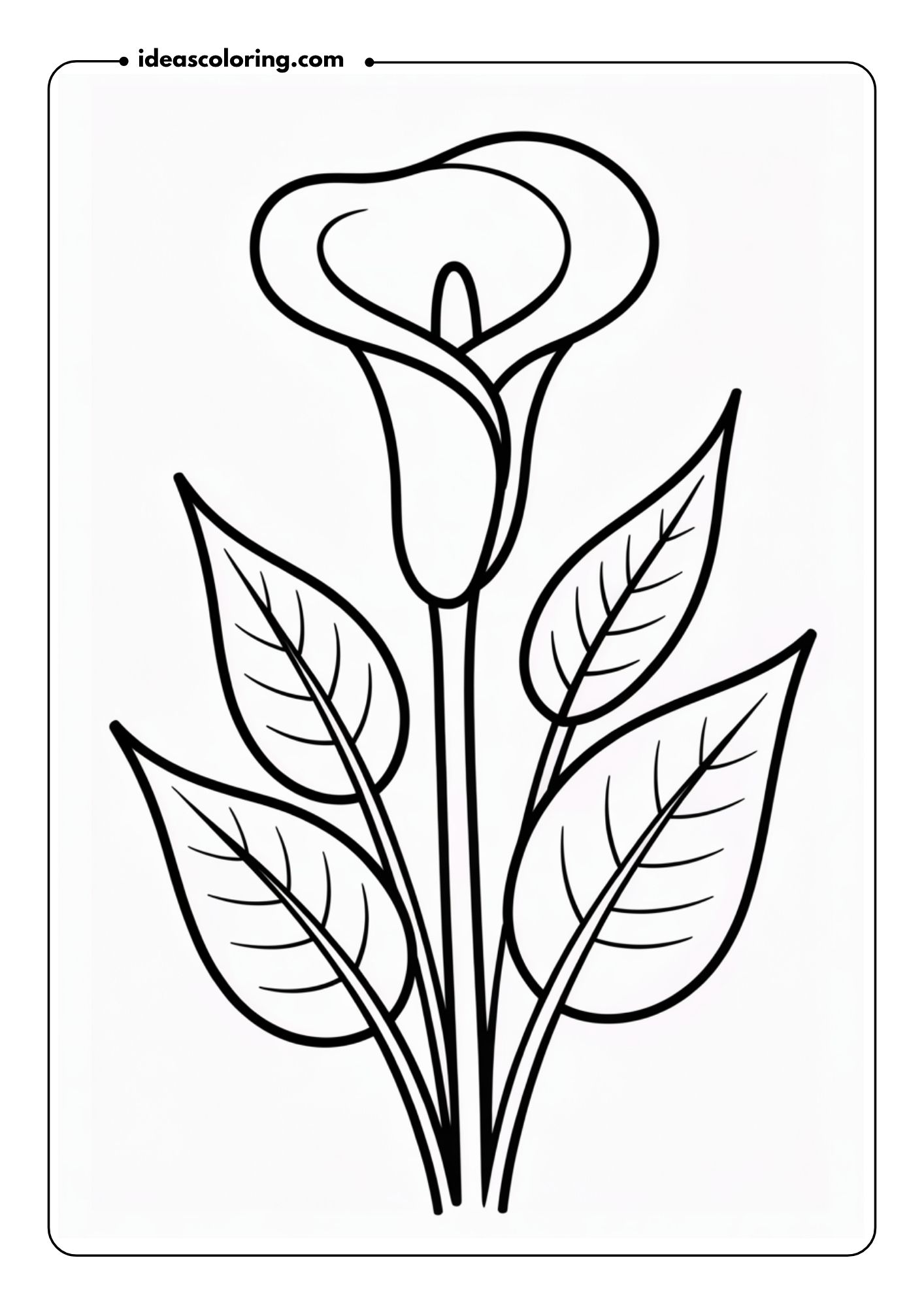 +20 Free Printable Flower Coloring Pages for Kids & Adults