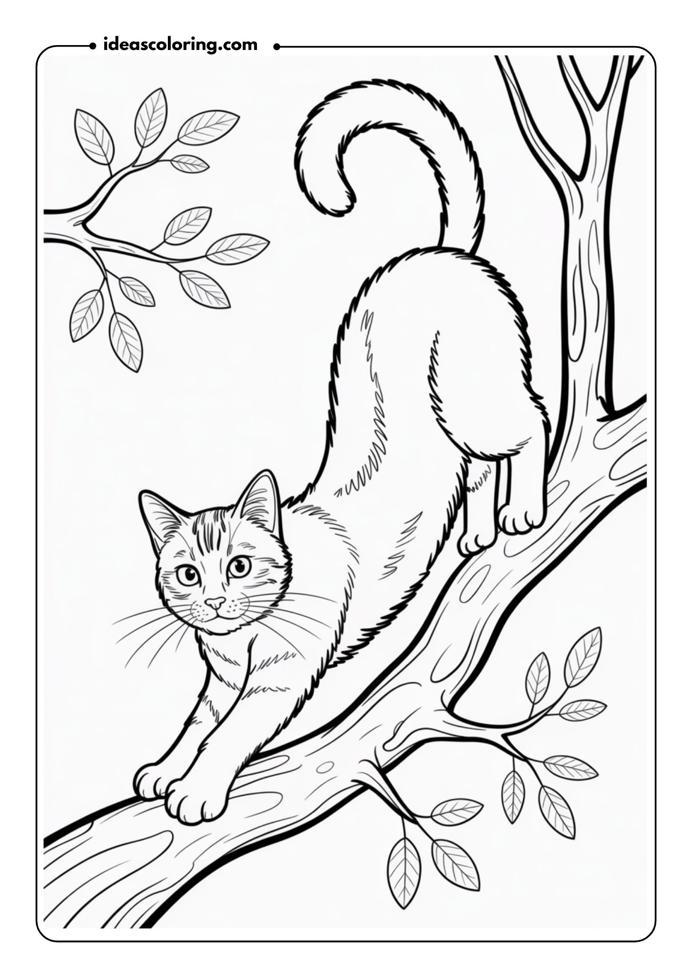 100+ Free Cat Coloring Pages (Printable PDF)